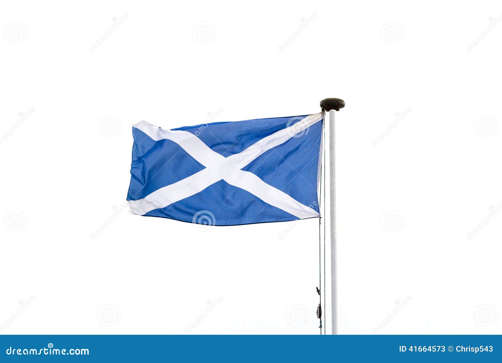 Scottish flag stock image. Image of patriotic, national - 41664573