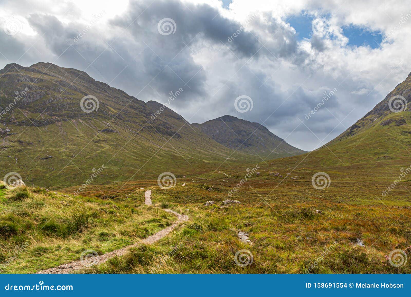 A Pathway Through A Scottish Borders Woodland Glade Royalty-Free Stock ...