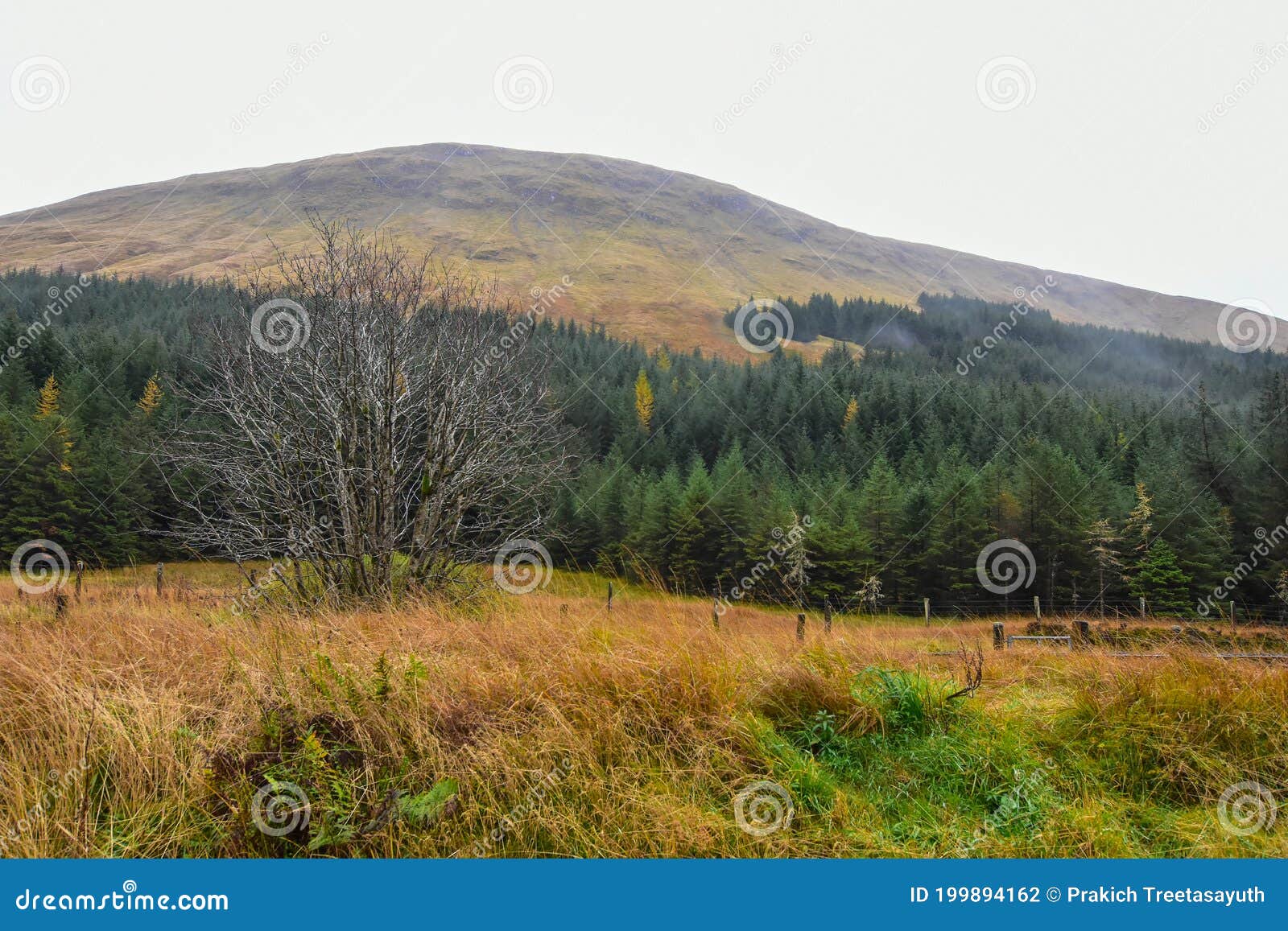 Scottish Highlands in Autumn Stock Photo - Image of leisure, highland ...