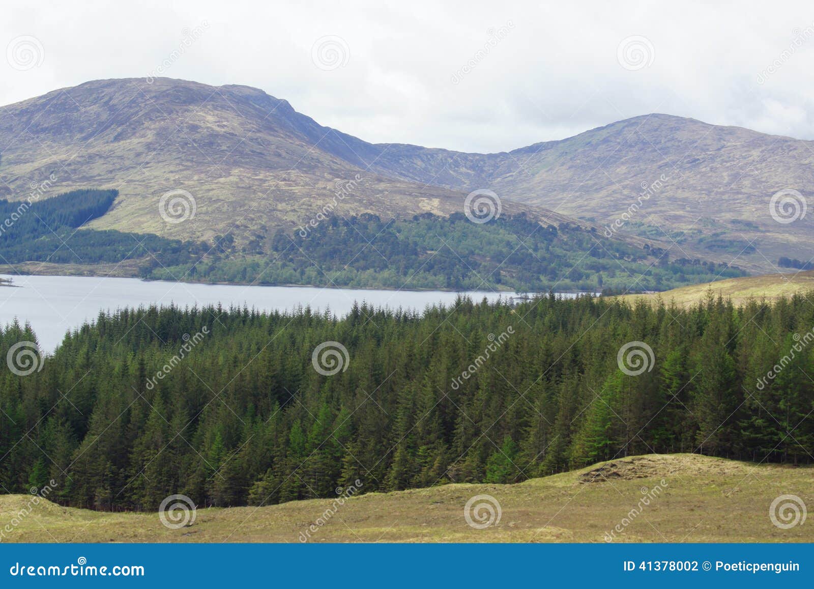 Scottish Highlands - Beautiful Scenery Stock Photo - Image of serene ...
