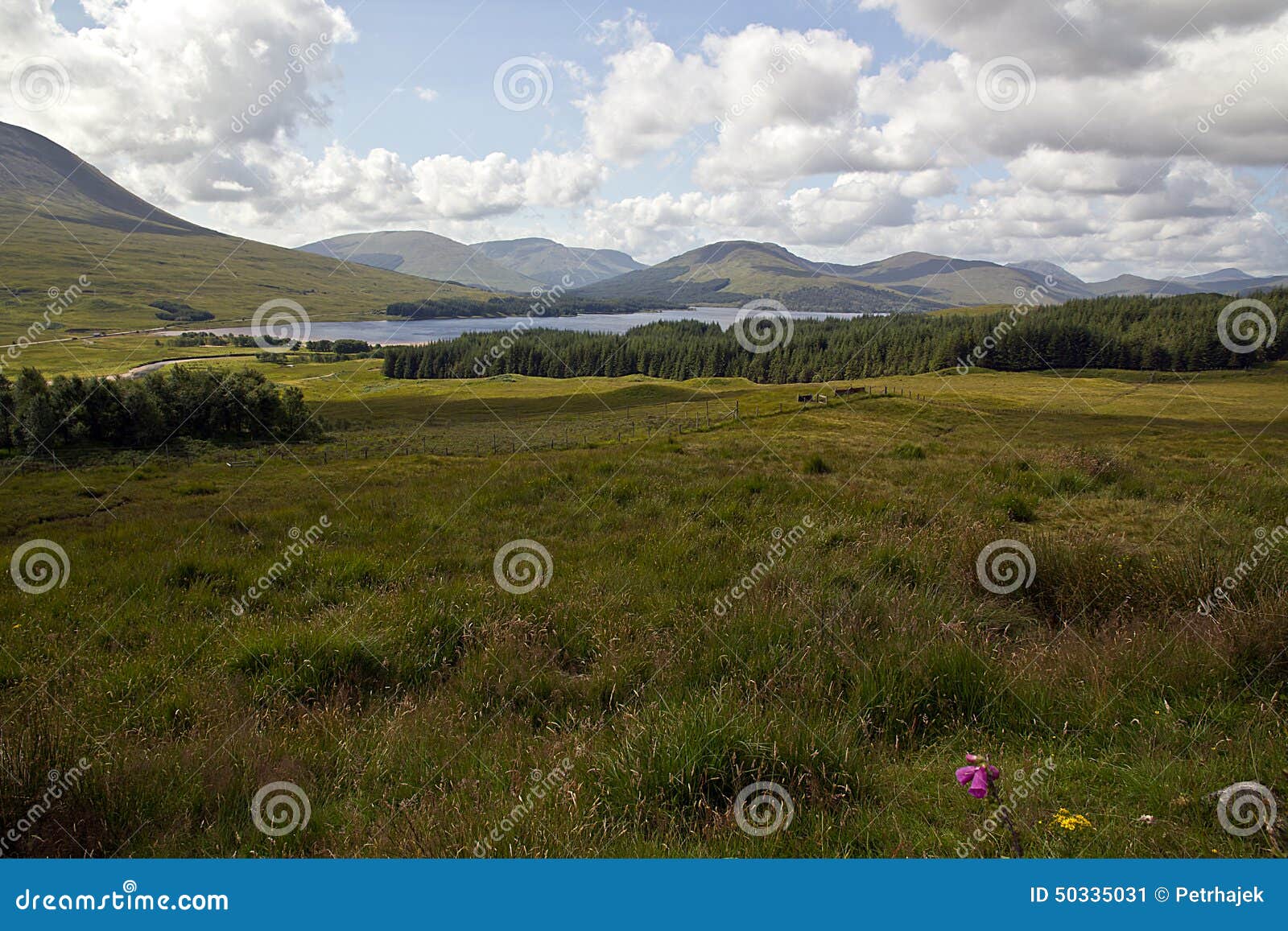 Scottish Highlands stock image. Image of highlands, landscape - 50335031