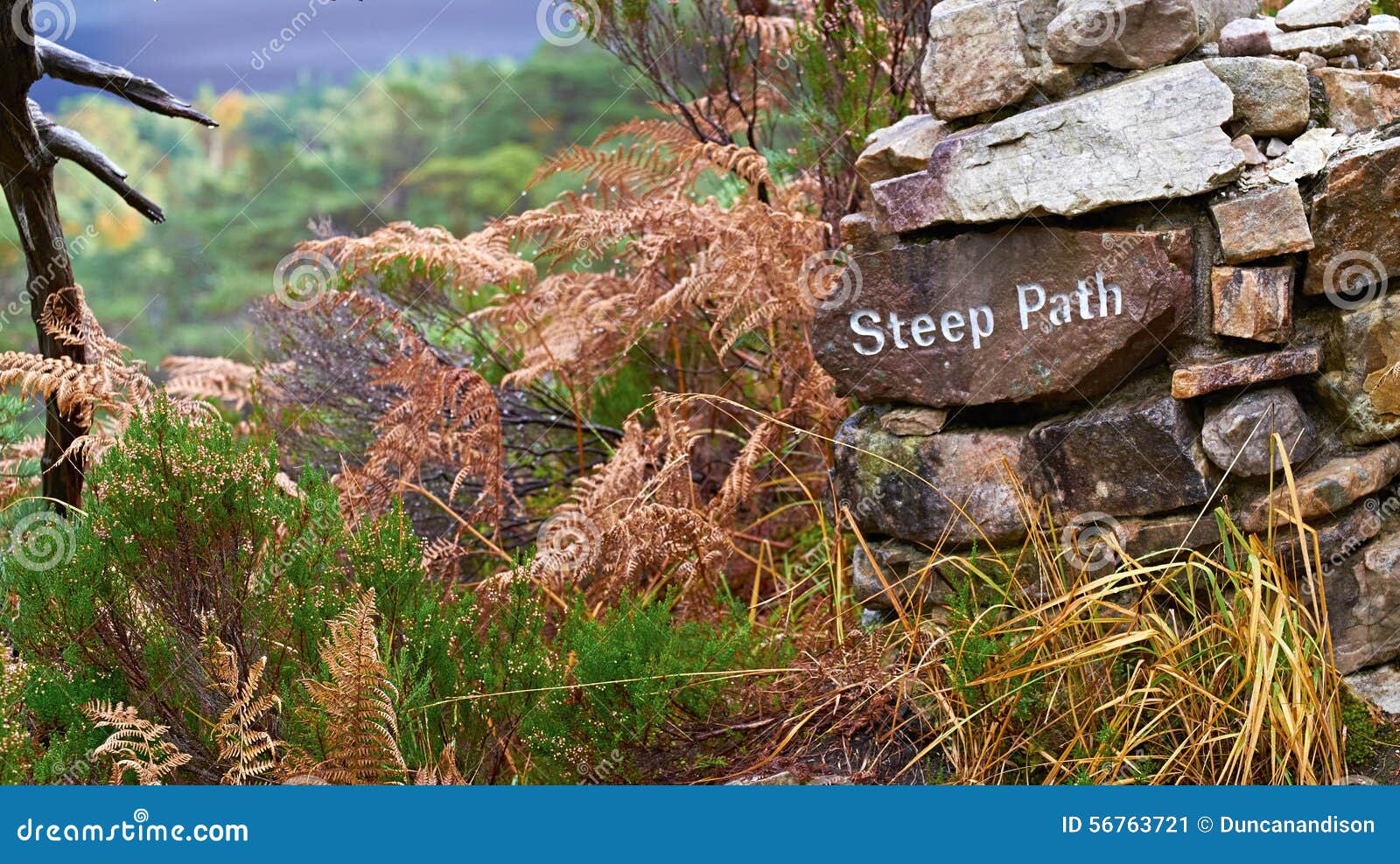 Scottish Highlands stock image. Image of torridon, notice - 56763721