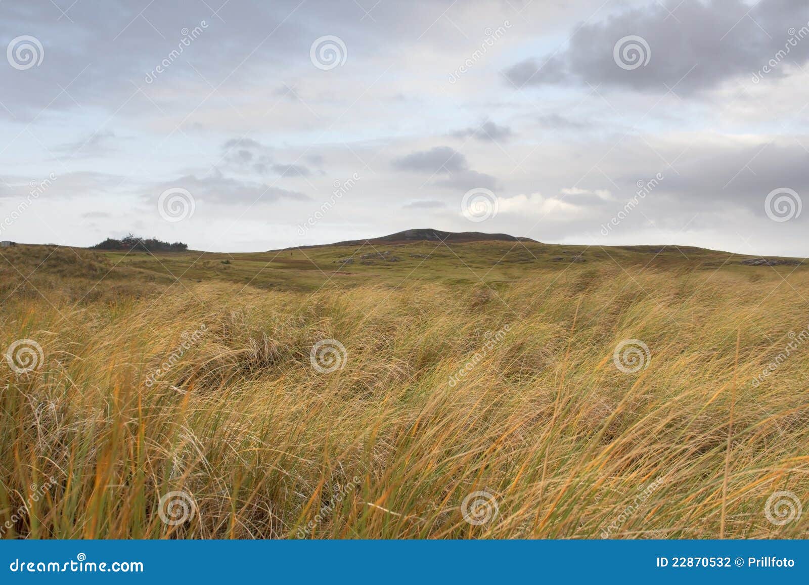 Scottish hilly grassland stock photo. Image of gaelic - 22870532