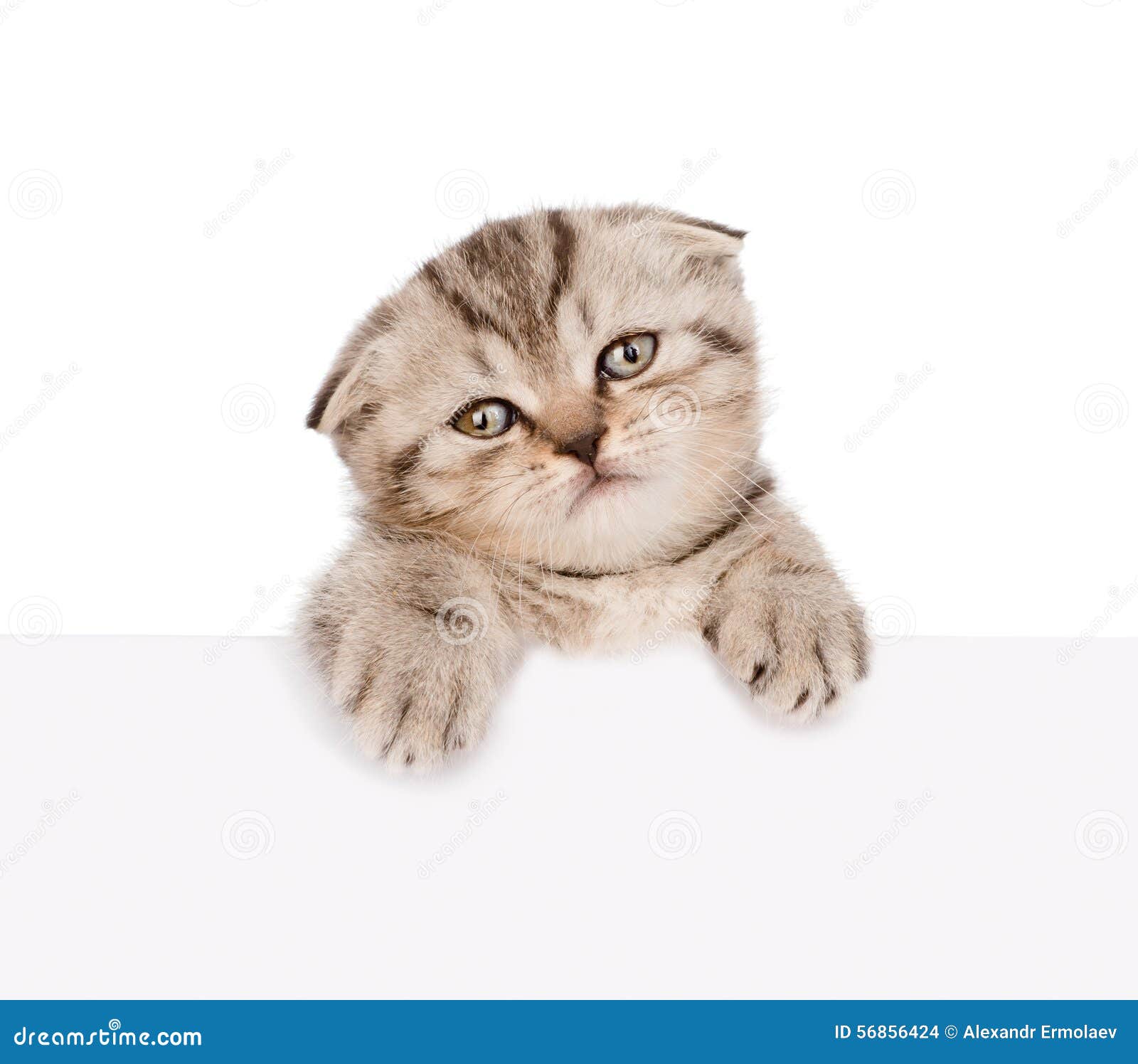 Fold Out Sign Stock Photos - Free & Royalty-Free Stock Photos from ...