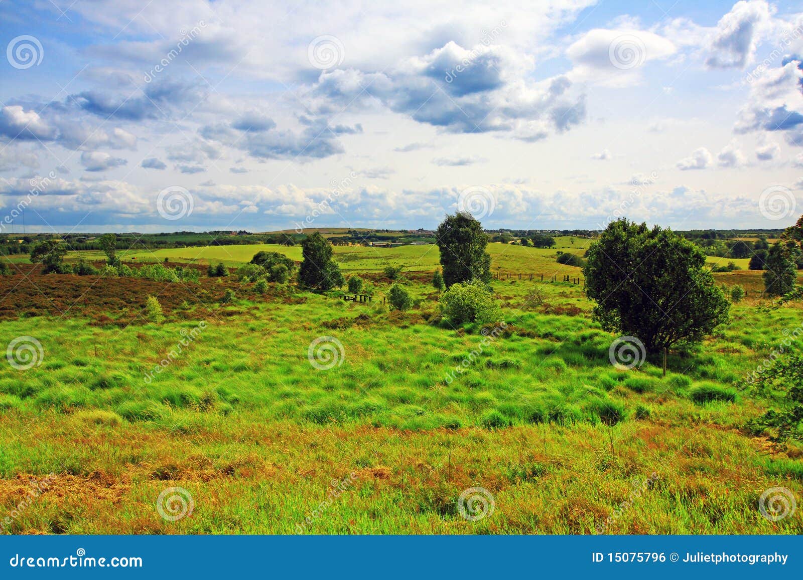 Scottish Landscape with Grass Stock Photo - Image of landscape ...