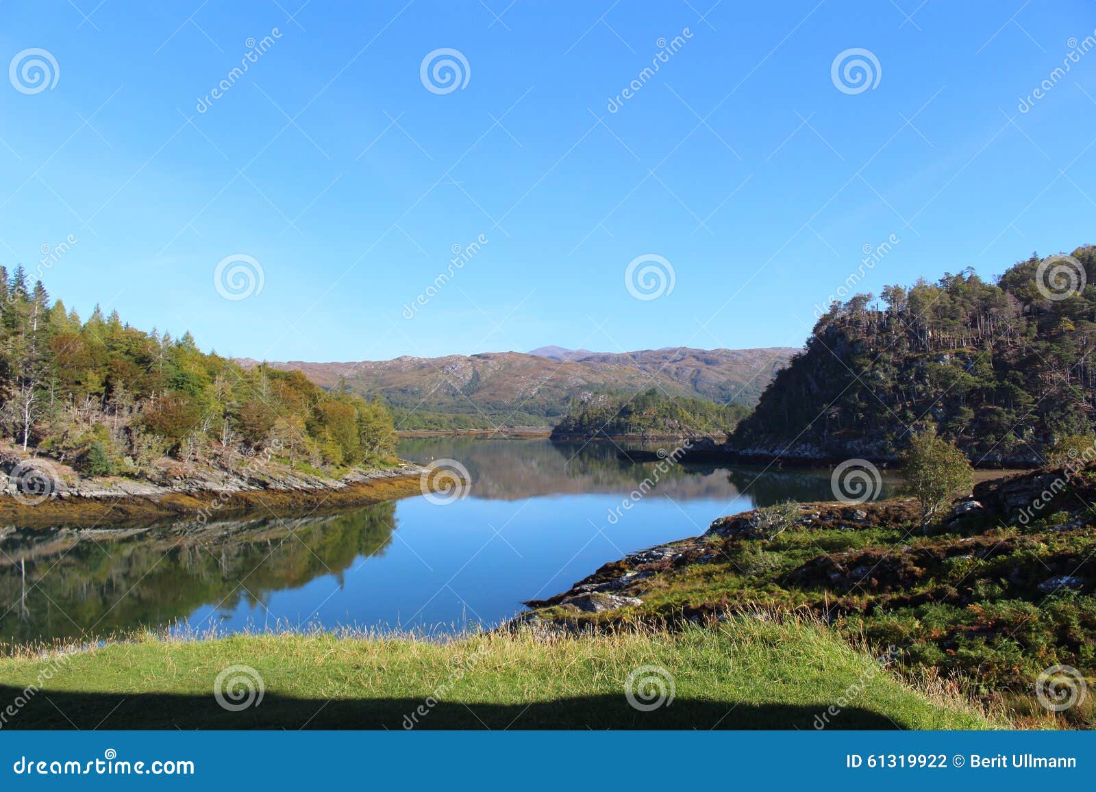 Scottish landscape stock photo. Image of forest, clear - 61319922