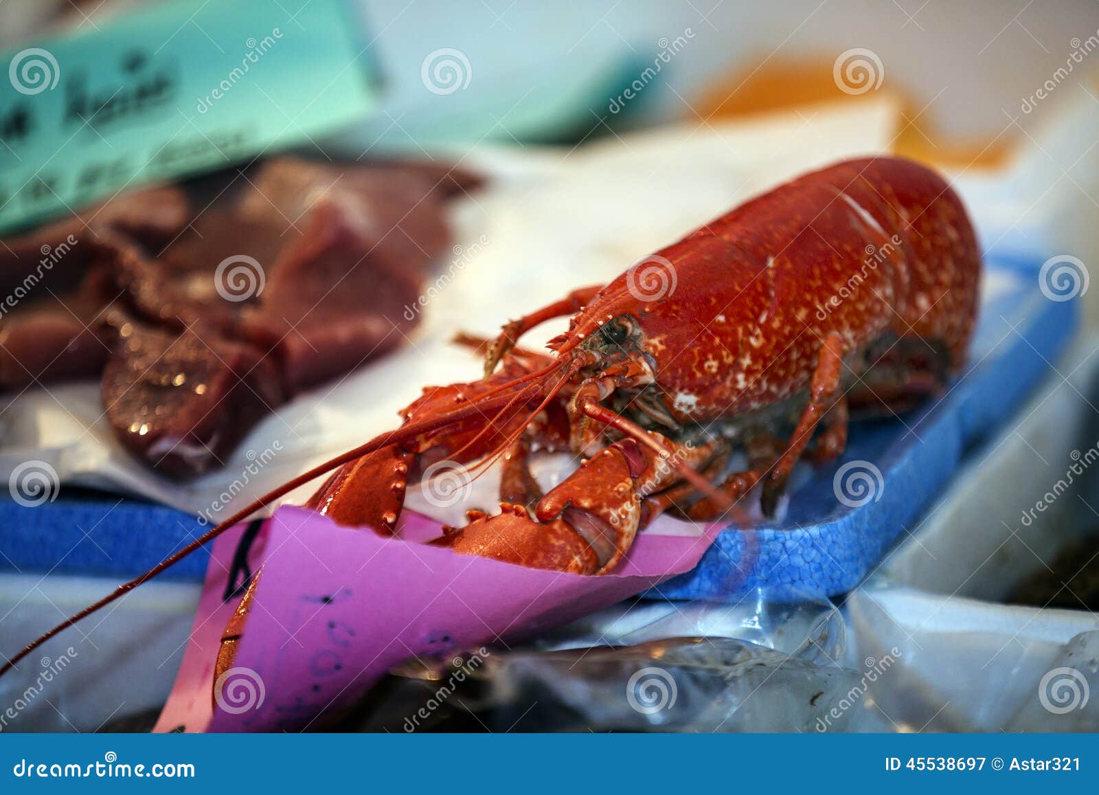 Scottish Lobster stock image. Image of lobster, alive - 45538697