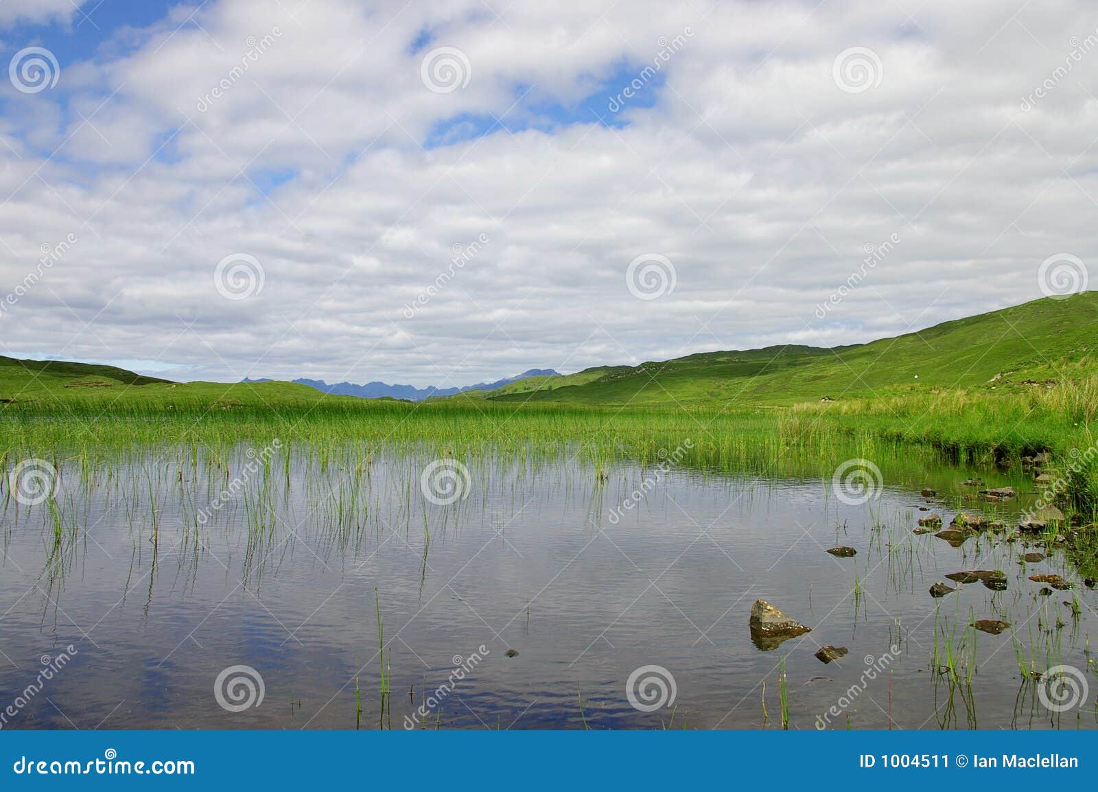A scottish marsh stock image. Image of loch, highlands - 1004511