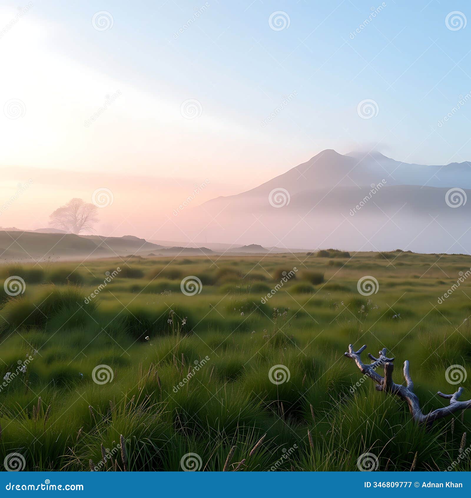 Scottish Meadows with Morning Colors Stock Illustration - Illustration ...
