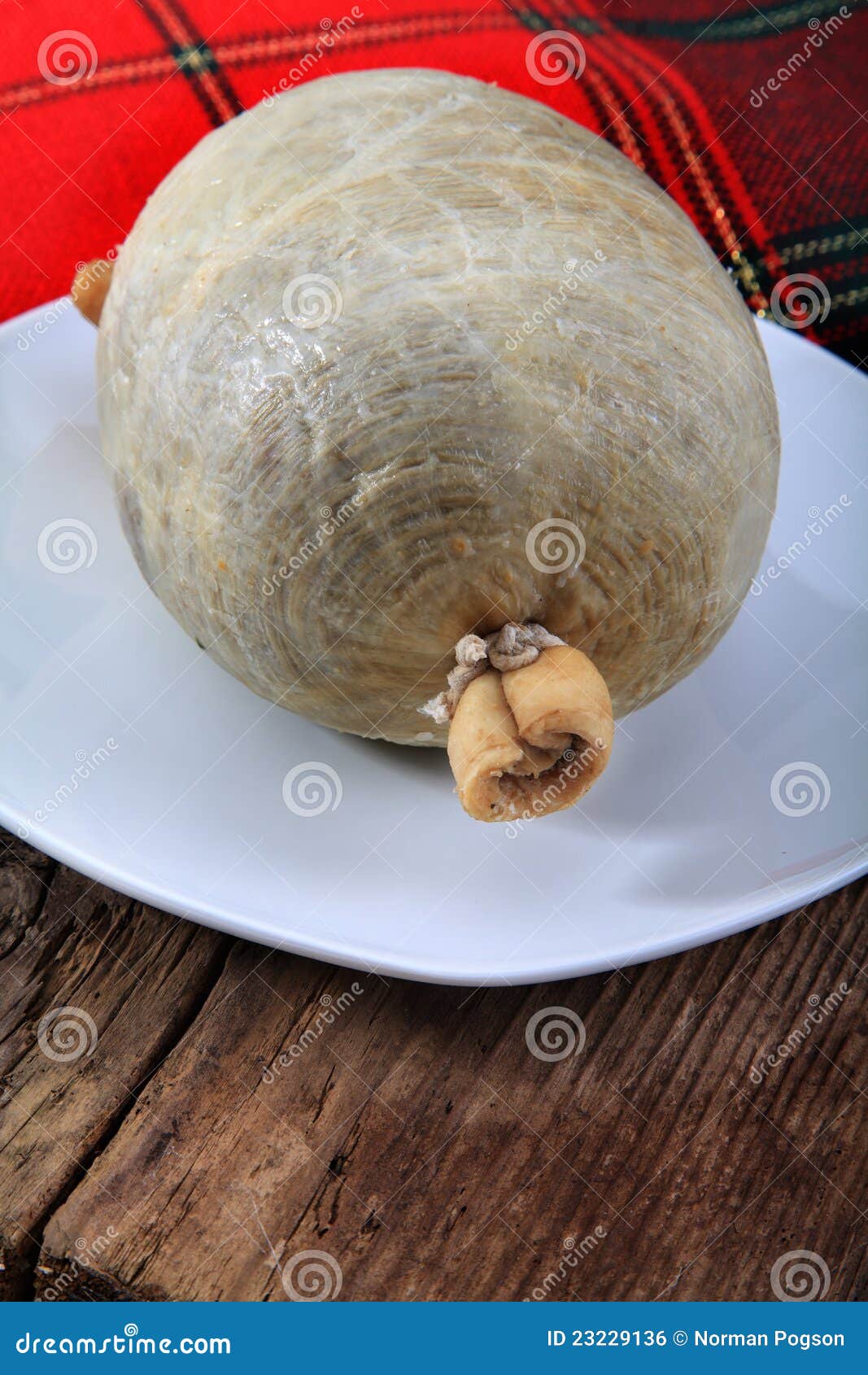 Scottish Raw Cold Haggis stock photo. Image of meat, wood - 23229136