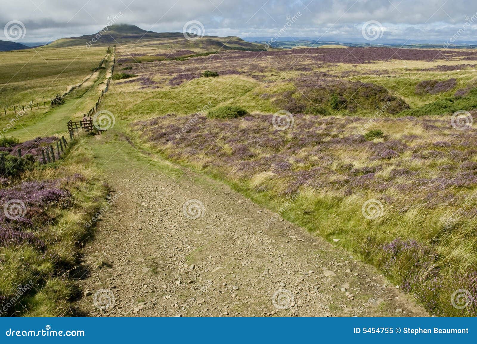 Scottish Scene stock image. Image of scottish, lomond - 5454755