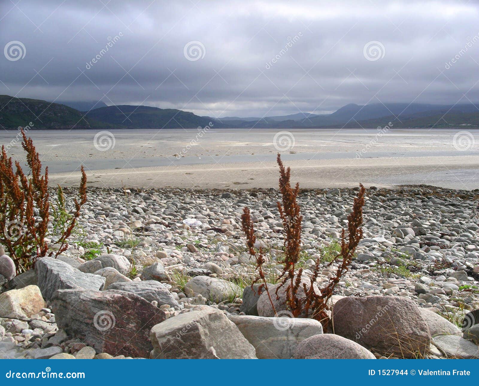 Scottish seacoast stock photo. Image of dark, rock, coast - 1527944