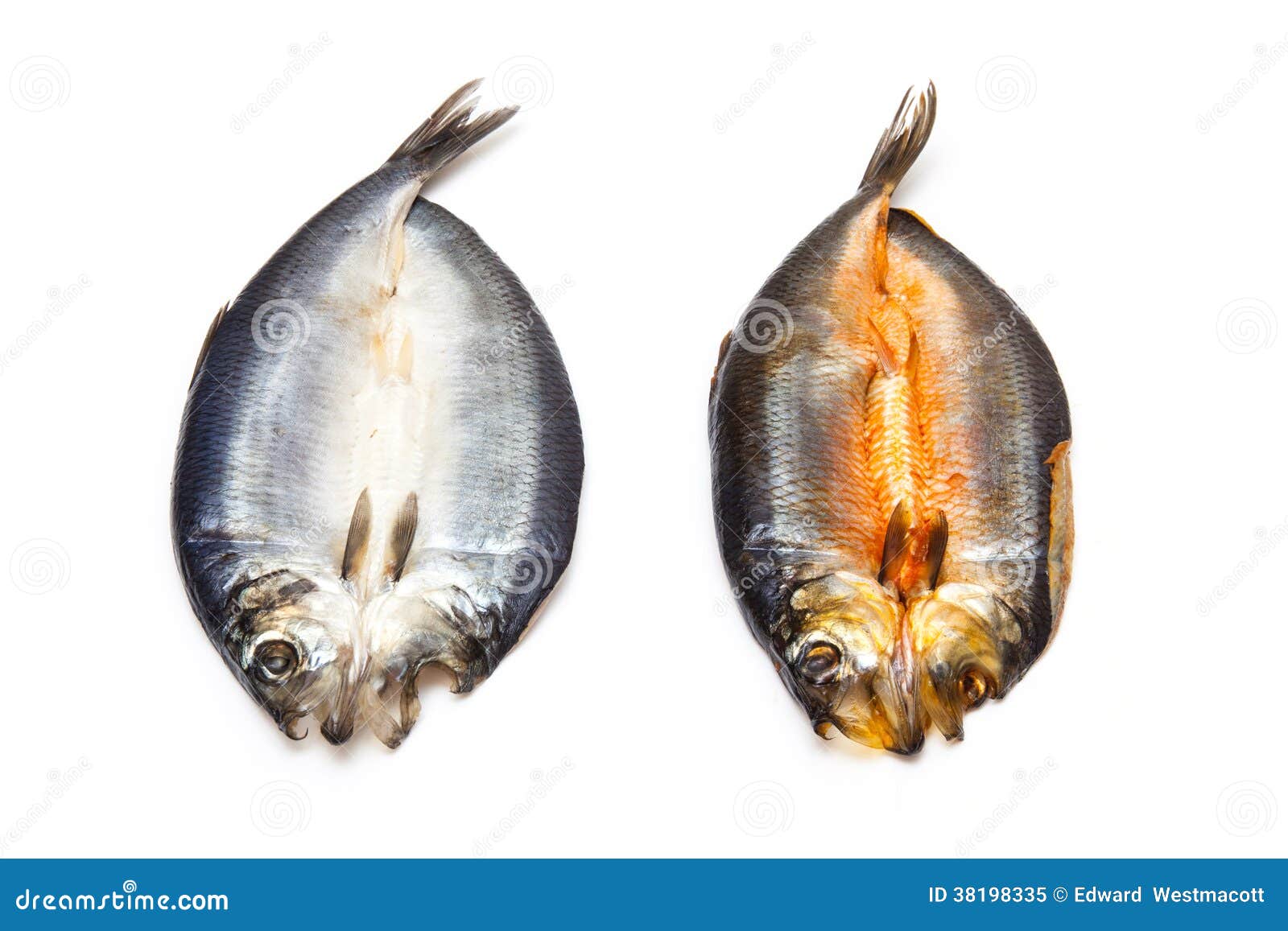 Scottish smoked kippers stock image. Image of split, fresh - 38198335