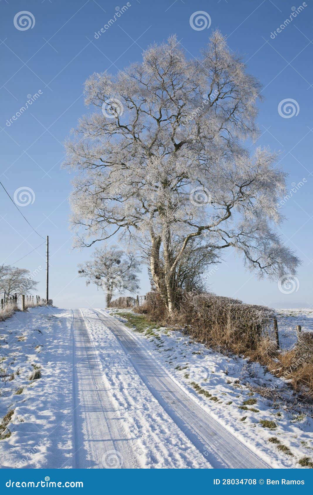 Scottish snow scene stock photo. Image of snow, road - 28034708