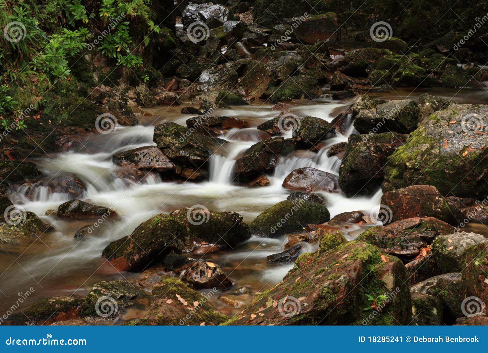 Scottish Stream Running Over Rocks Stock Image - Image of green, tree ...