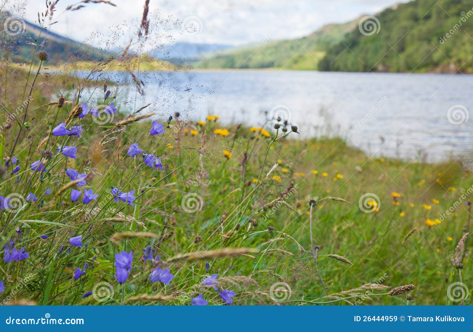 Scottish summer landscape stock image. Image of mountains - 26444959