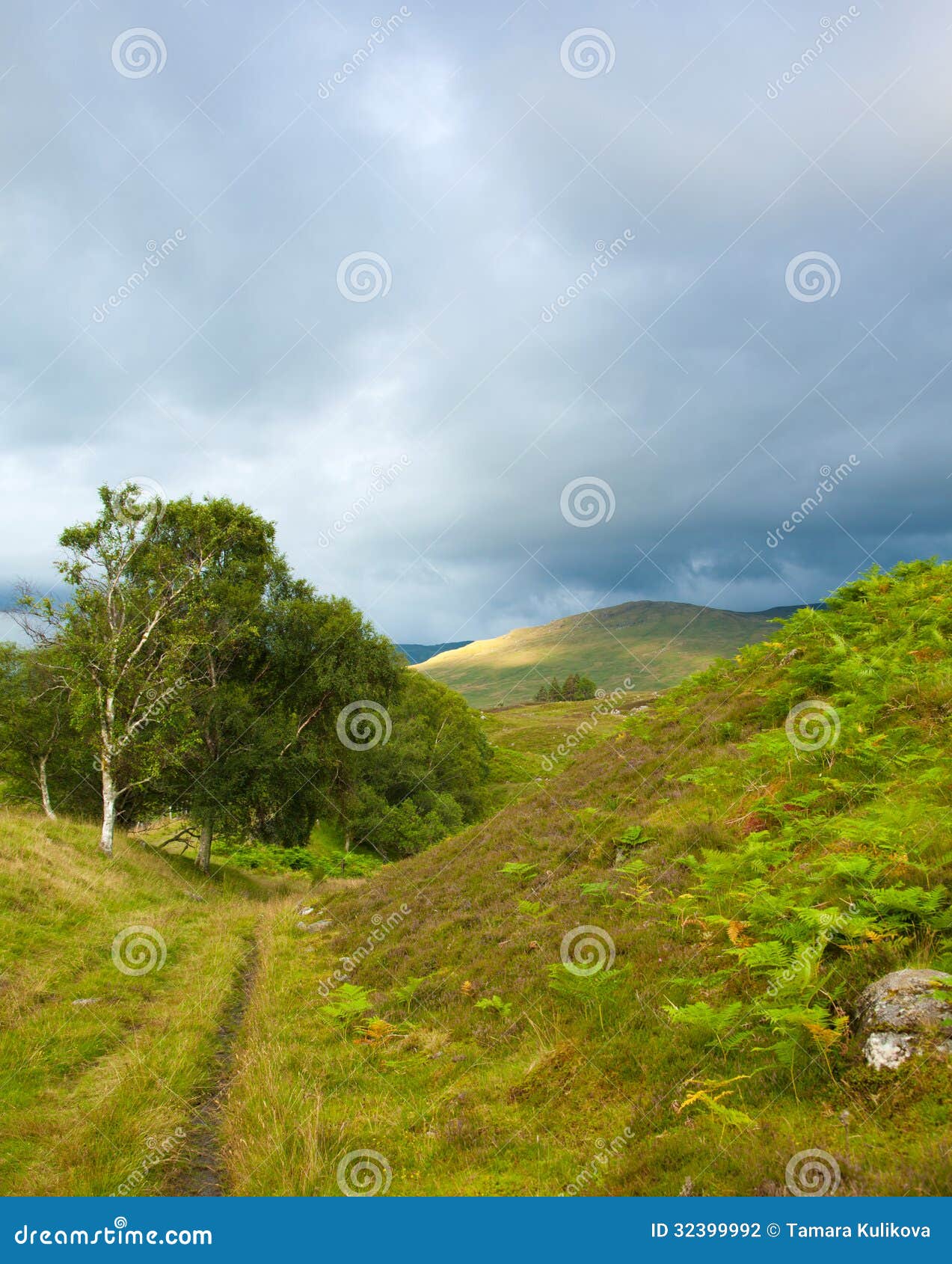 Scottish summer landscape stock photo. Image of bracken - 32399992