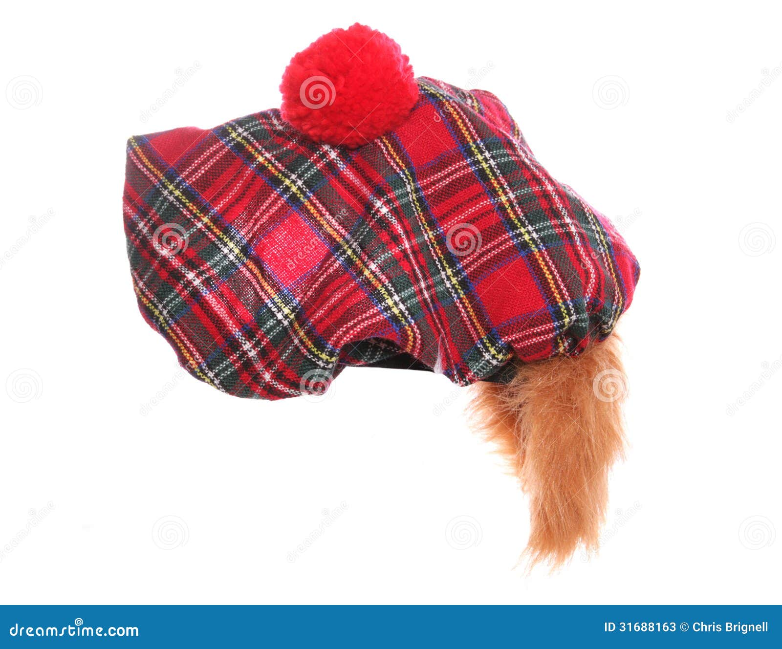 Scottish tartan hat stock image. Image of beret, studio - 31688163