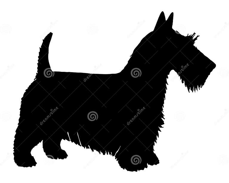 Scottish Terrier stock vector. Illustration of scottie - 11503545
