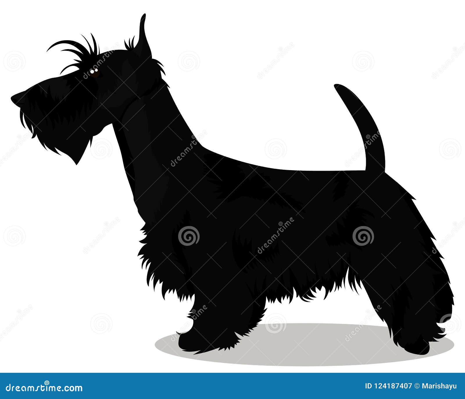 Scottish terrier dog stock vector. Illustration of mammal - 124187407