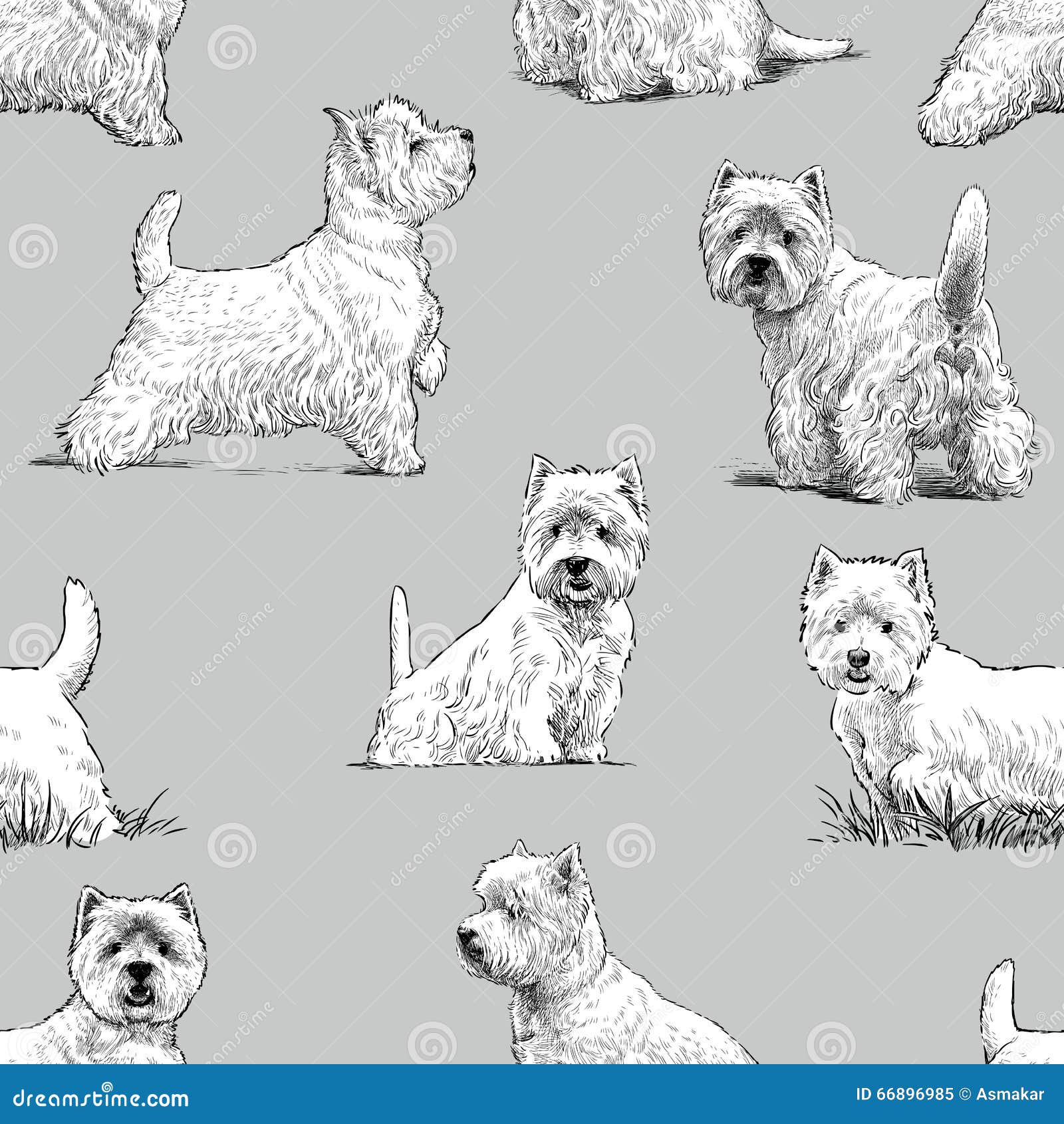 Scottish terrier pattern stock vector. Illustration of scottish - 66896985