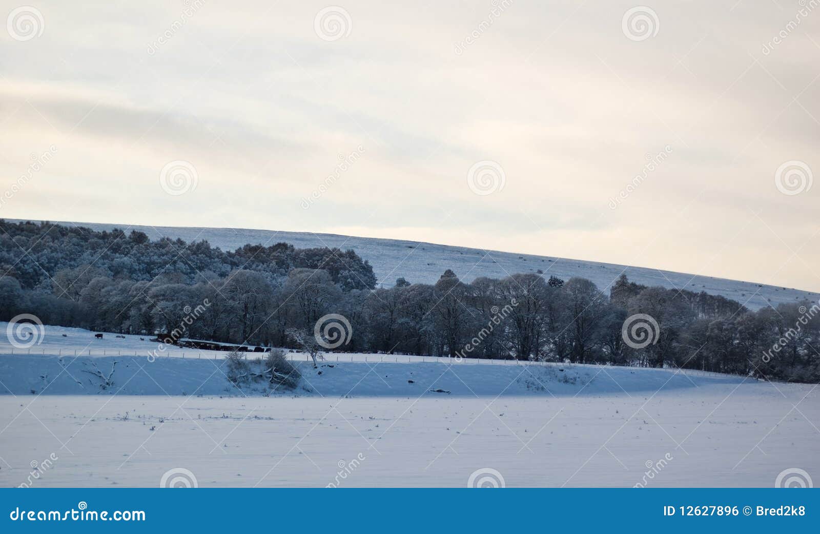 Scottish winter landscape stock photo. Image of snow - 12627896