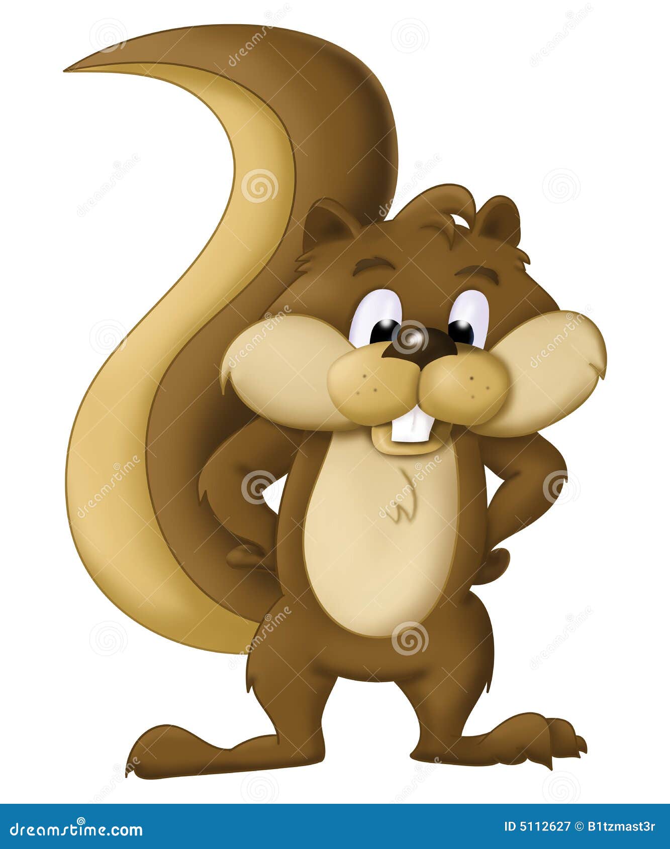 Red Squirrel, Front View Of Sciurus Vulgaris, Isolated On White ...