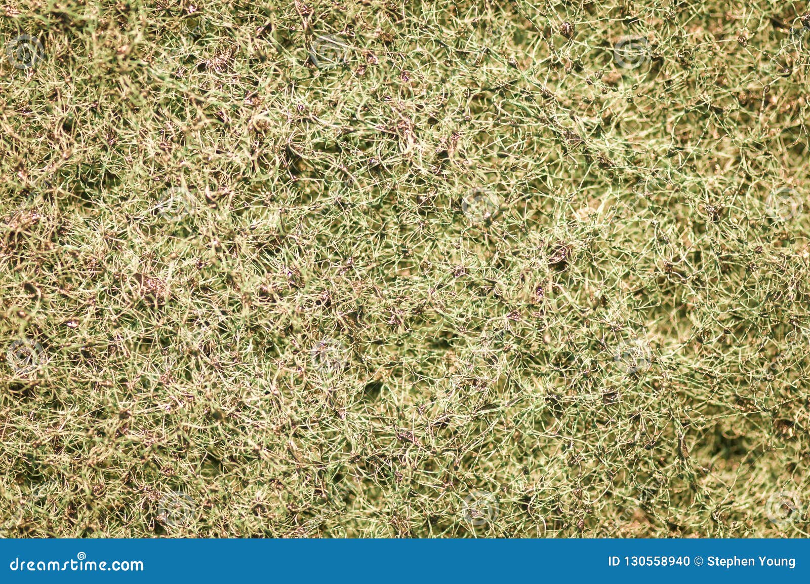 Scourer surface stock photo. Image of abrasive, copy - 130558940