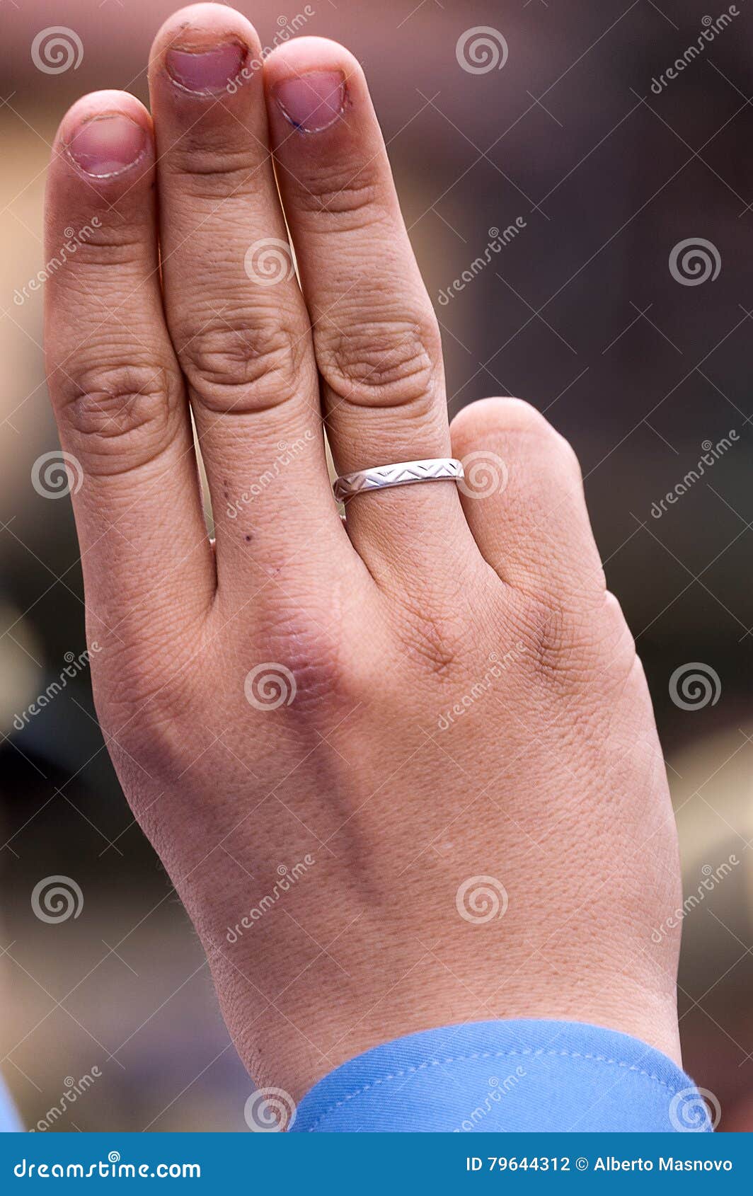 Scout - Honor Hand Gesture stock photo. Image of human - 79644312