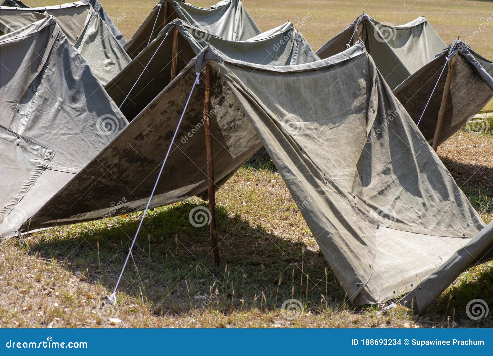 Scout tent in forest camp stock photo. Image of scout - 188693234