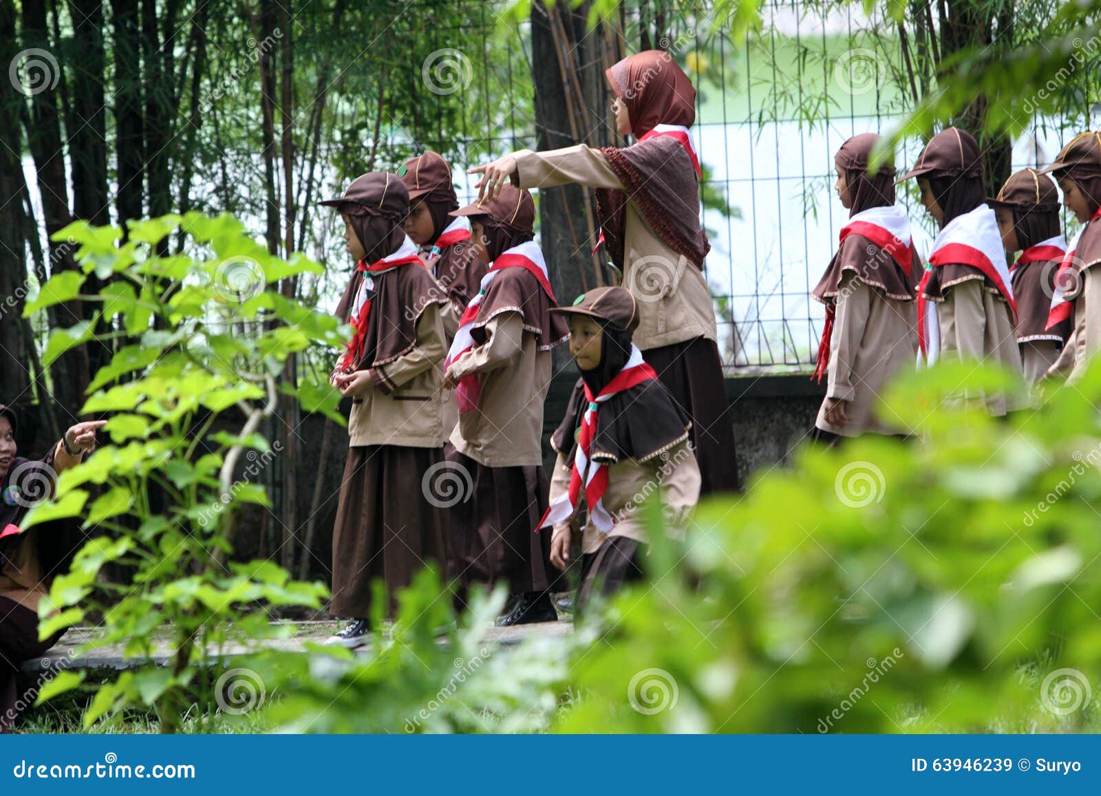 Scouts imagem de stock editorial. Imagem de java, conduzir - 63946239
