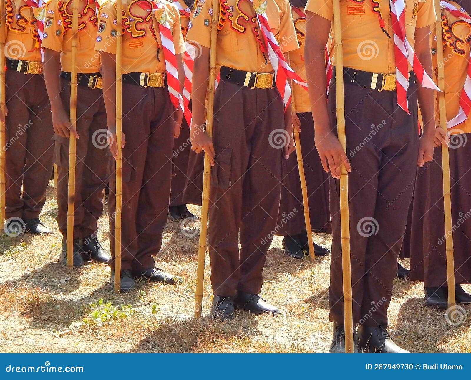 Scouts Marching with Their Sticks Stock Photo - Image of musician ...