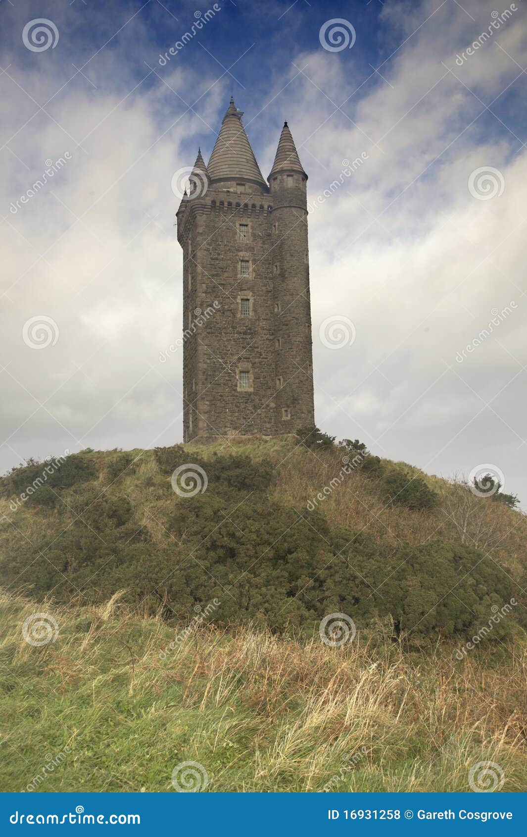 Scrabo Tower stock photo. Image of grass, newtownards - 16931258