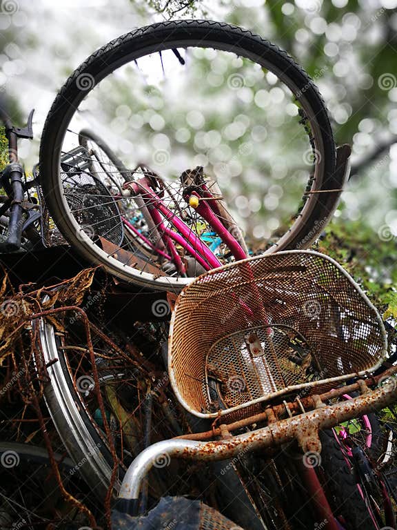 The Scrap Bicycle with Tire Lying on the Garbage Dump Stock Image ...