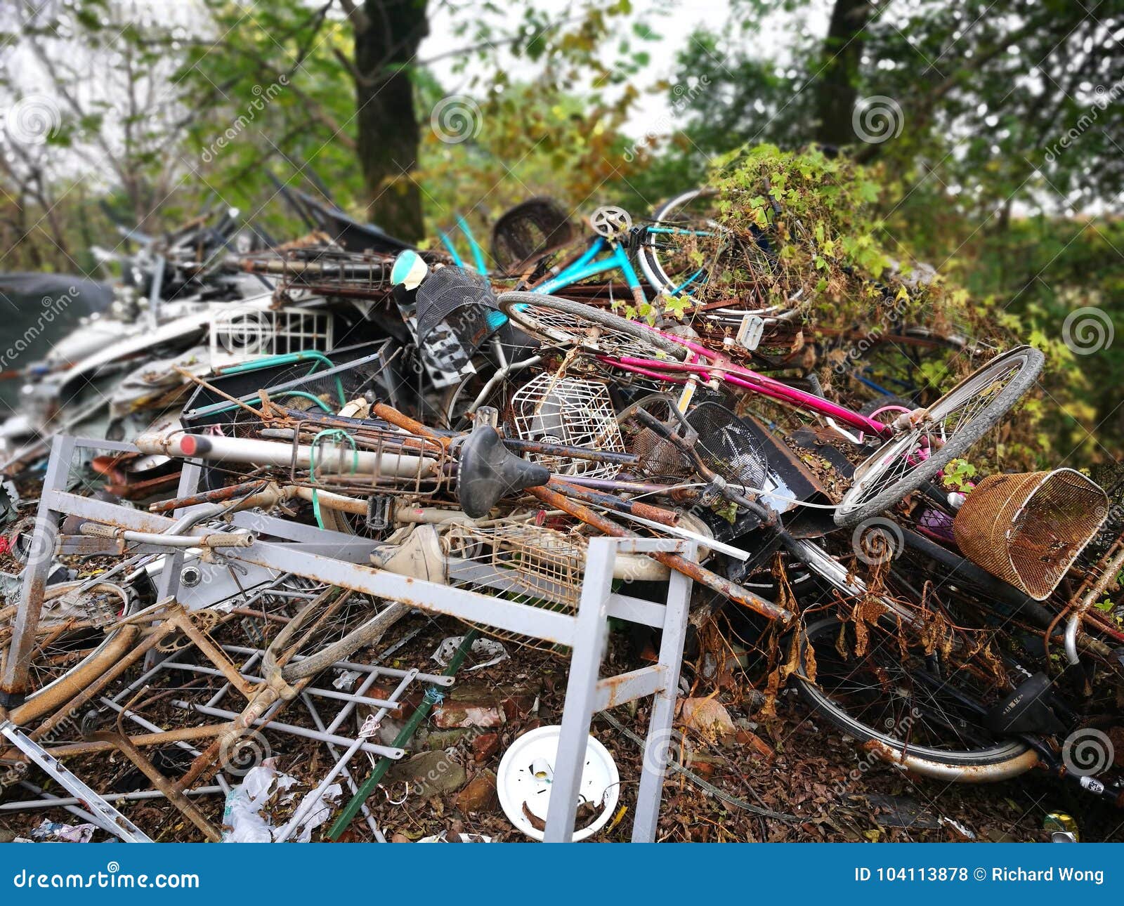 The Scrap Bicycle with Tire Lying on the Garbage Dump Editorial Stock ...