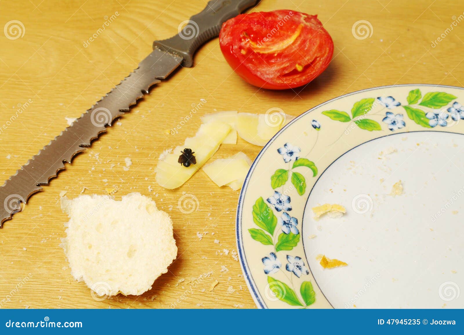 Scrap food stock image. Image of plate, food, dirt, chunk - 47945235