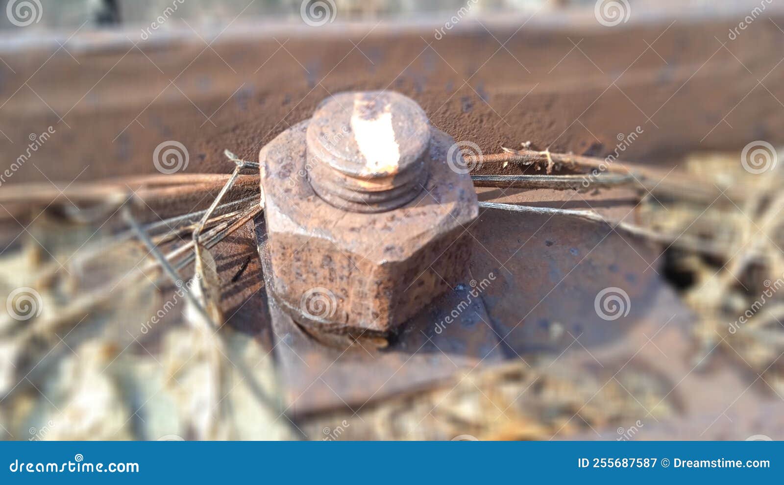 Scrap Metal among Piles of Twigs Stock Image - Image of garden, outdoor ...