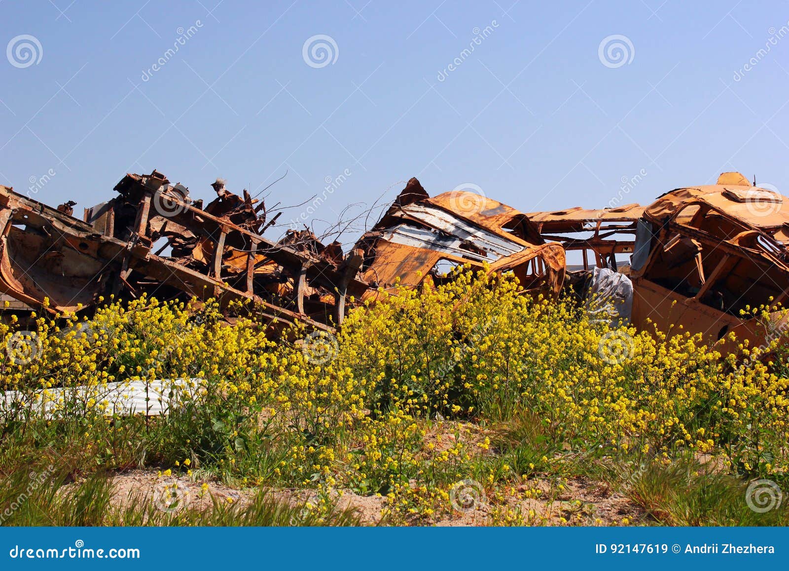 Scrap Old School Buses at Junkyard Stock Image - Image of corrosion ...