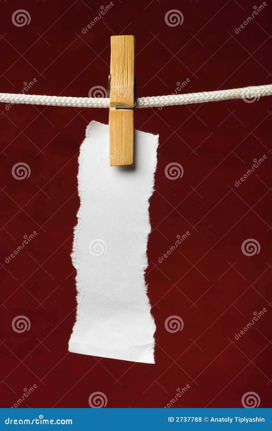 Scrap paper stock photo. Image of shred, slip, announce - 2737788