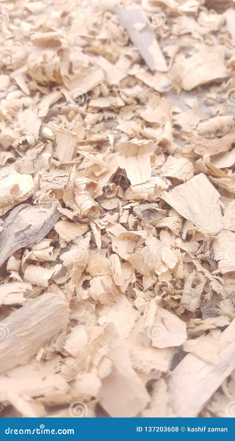 Scrap Wood Piece stock photo. Image of pieces, wood - 137203608