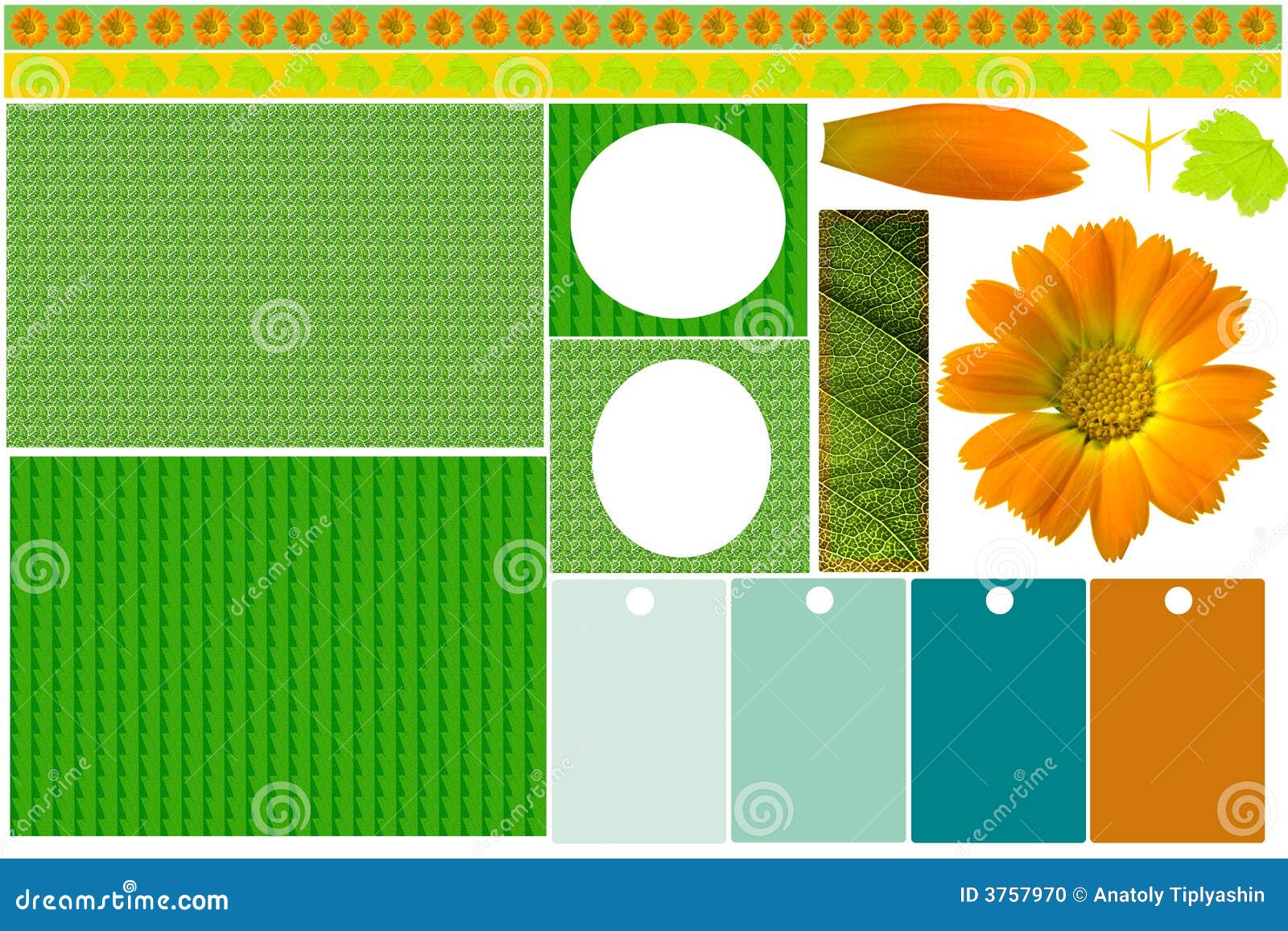 Scrapbook elements stock illustration. Illustration of green - 3757970