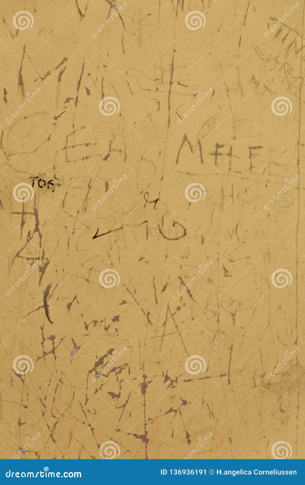 Carved Inscriptions In Chola Grantha Script And Tamil Letters ...