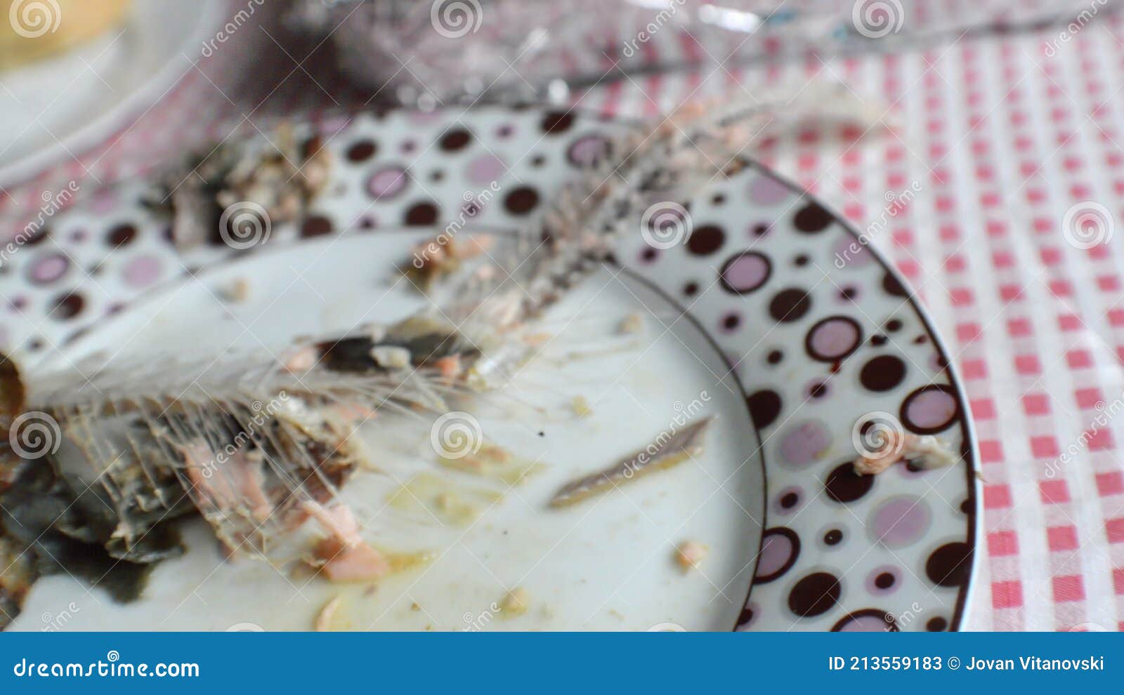 Scraps of fish on a plate stock image. Image of bone - 213559183