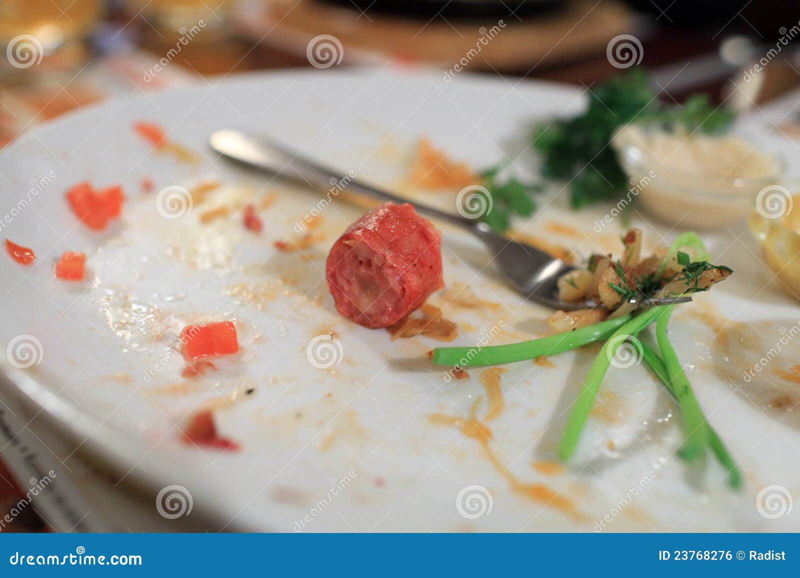 Scraps of food stock photo. Image of sausage, remainder - 23768276