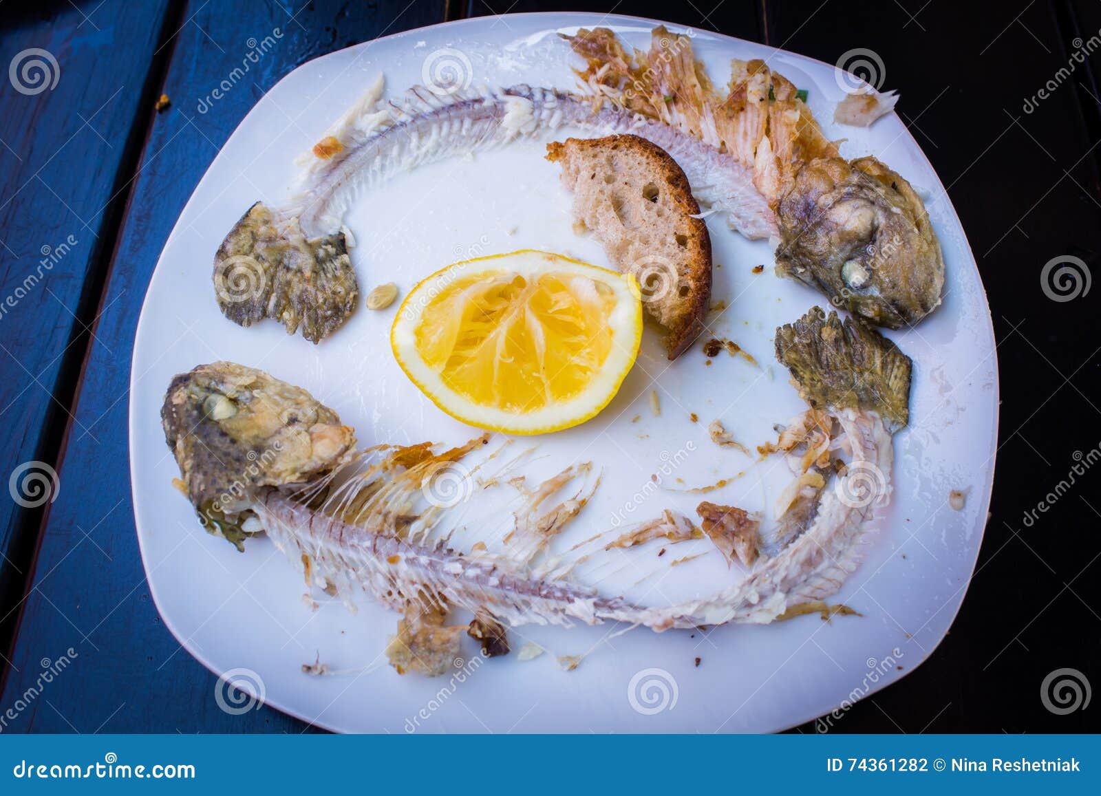 Scraps of fried fish stock photo. Image of blank, freshwater - 74361282