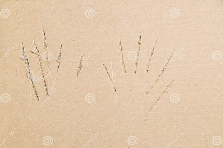 Scratch stock image. Image of paper, mouse, scratch, tear - 19698411