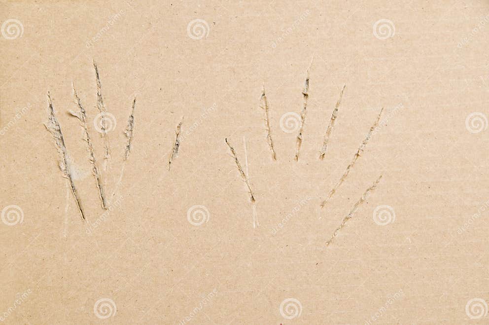Scratch stock image. Image of paper, mouse, scratch, tear - 19698411