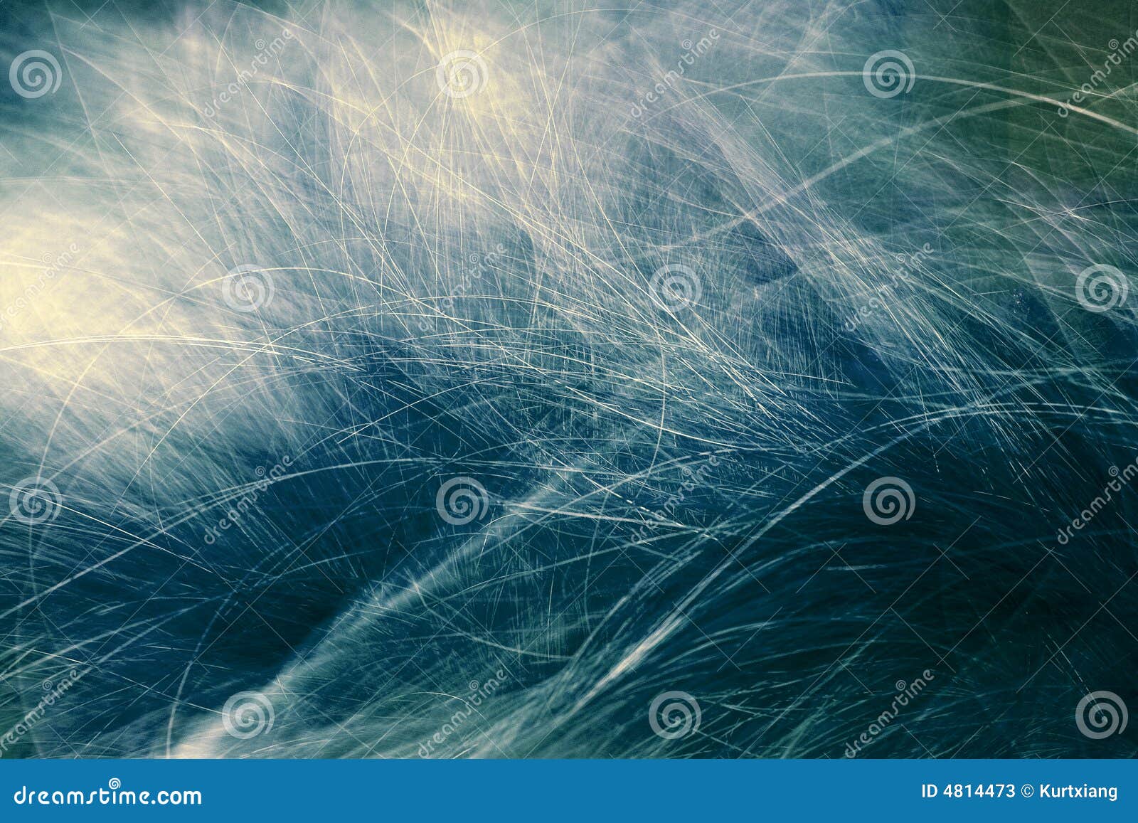 Scratch/grass/hair stock image. Image of scratch, grass - 4814473