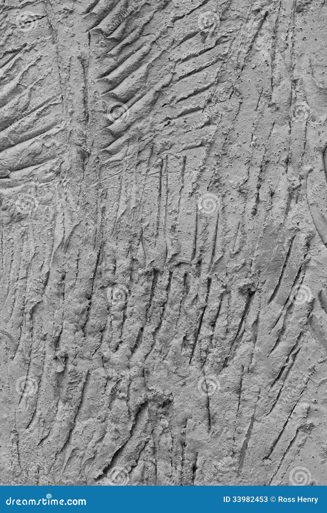 Scratch Marks On Wall