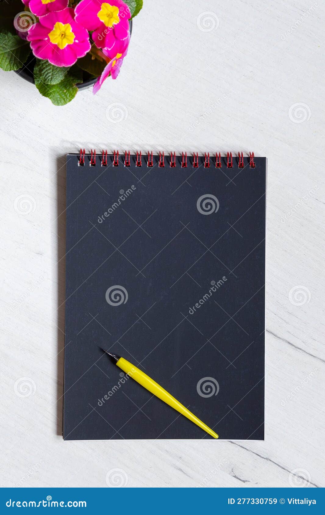 Scratch Painting Paper with Flower on it and Flower Pot Stock Image ...